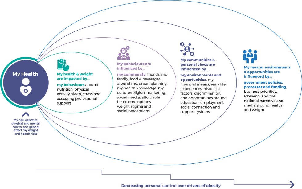 The Actions Hub - The Obesity Collective